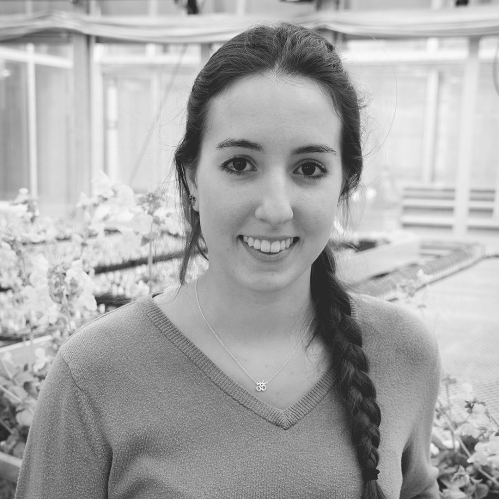 Kelly Schmid – CRE