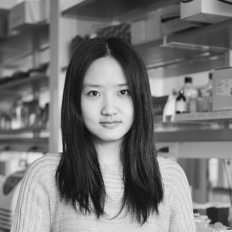 Undergraduate Students | CRE